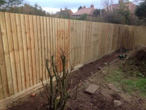 Fencing | Gallery | Park Timber