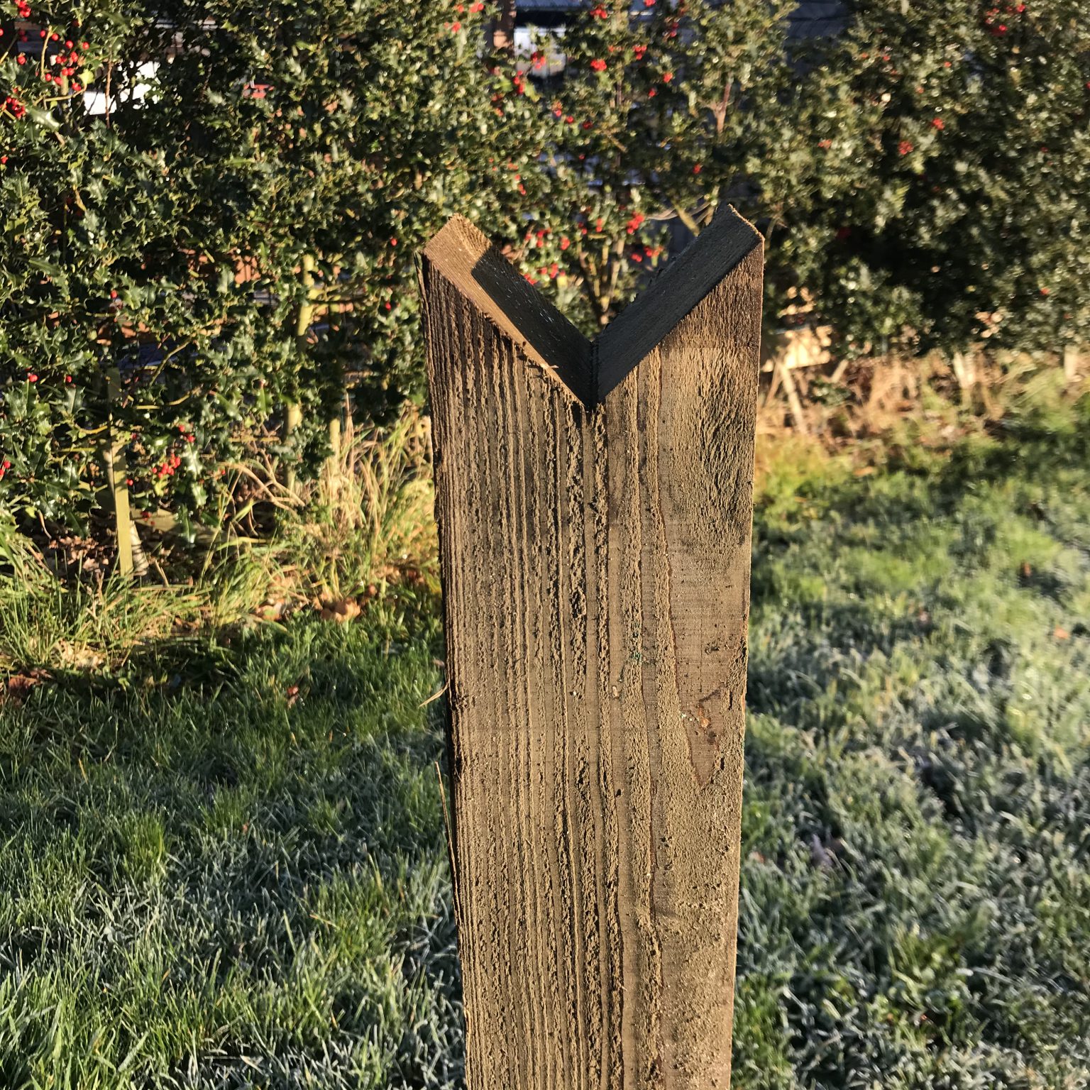 Birds Mouth Post | Park Timber