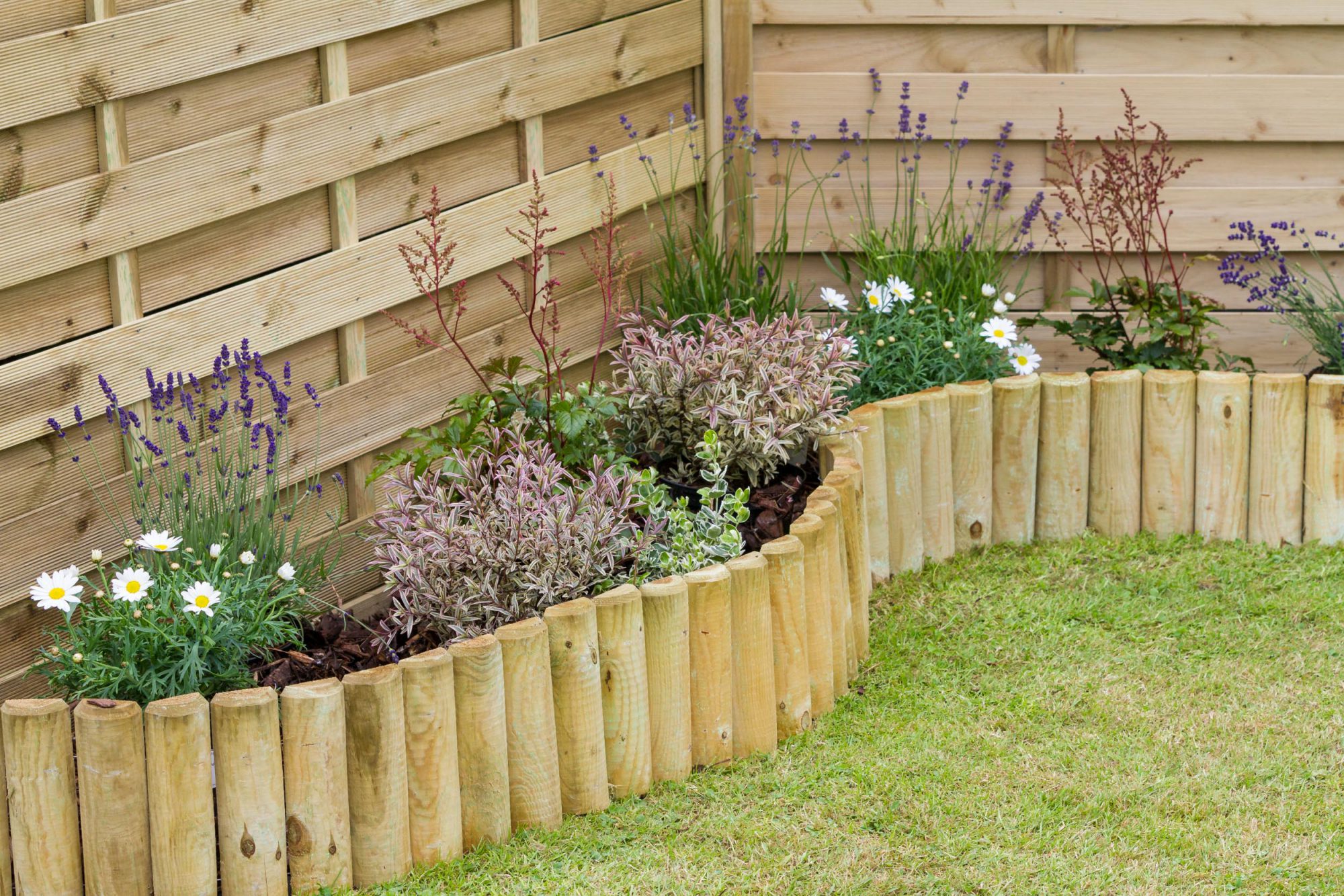 Log Roll | Park Timber