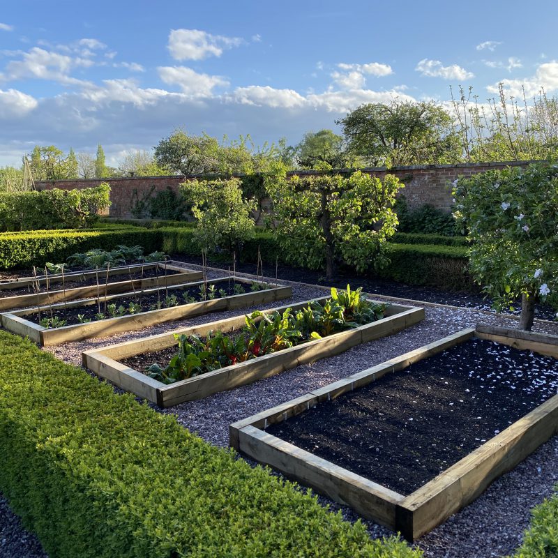 Homepage | Park Timber